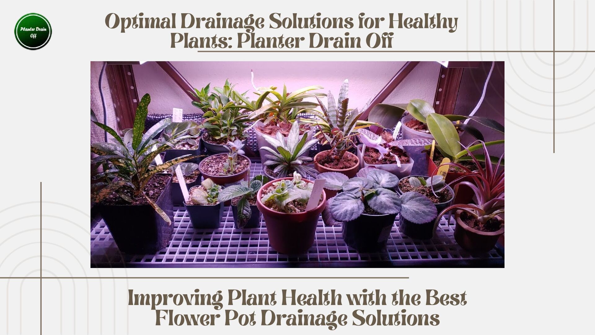 Drip Trays for Flower Pots & Optimal Drainage Solutions for Healthy Plants - Speaker Deck