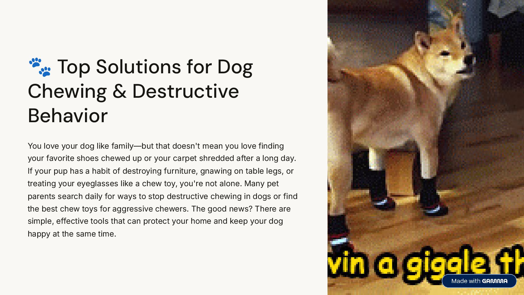 Top-Solutions-for-Dog-Chewing-and-Destructive-Behavior - Speaker Deck