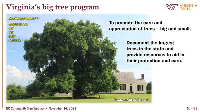 Documentation and Conservation of Champion Big Trees in Urban Forests ...