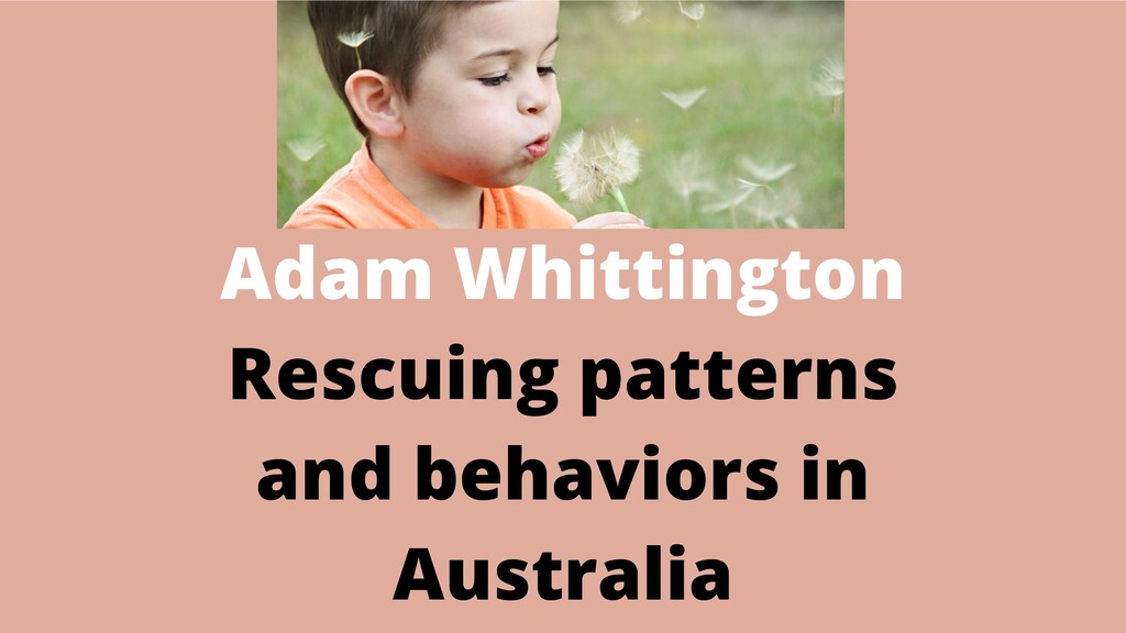 Adam Whittington | Rescuing patterns and behaviors in Australia ...