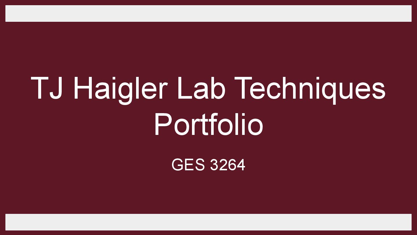 Lab Techniques - Speaker Deck