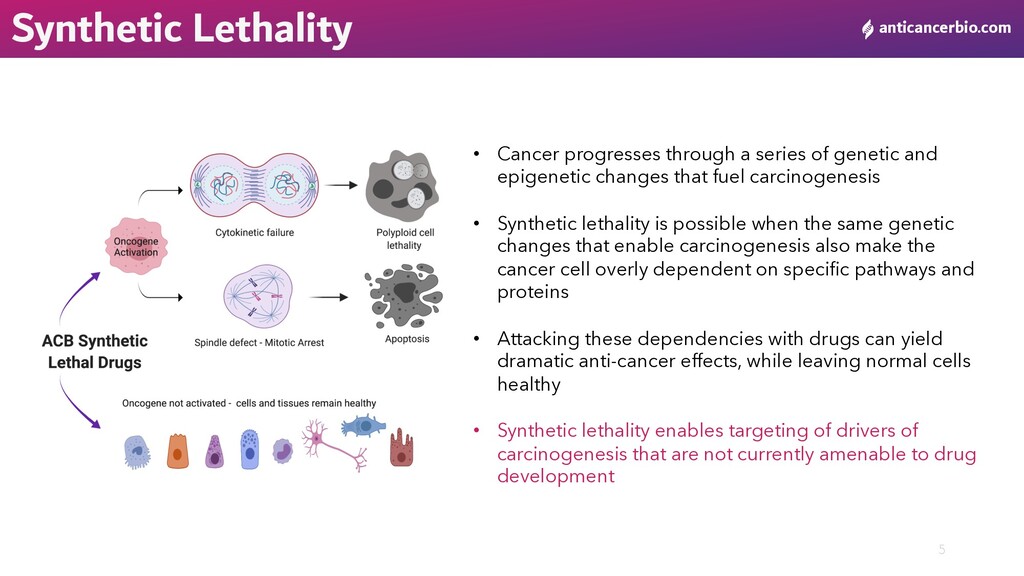 Anticancer Bioscience - Advancing Synthetic Lethal Cancer Therapies ...