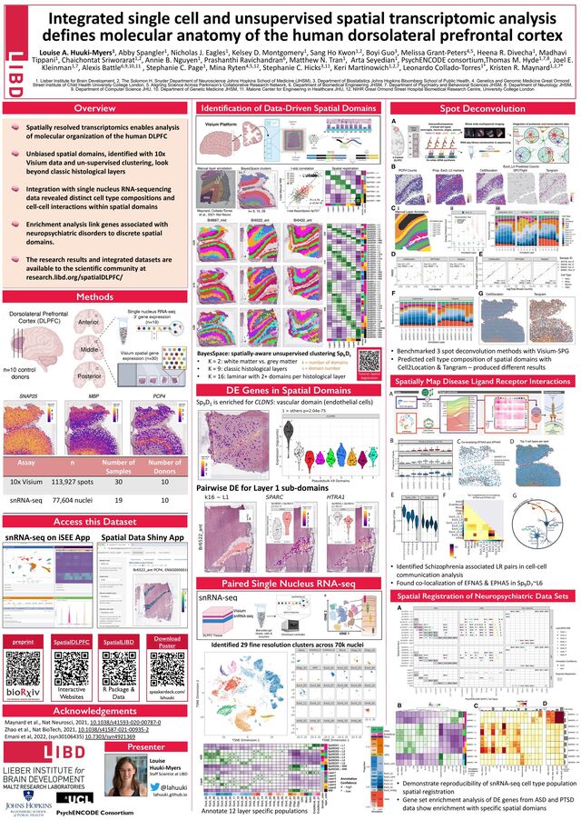 Spatialdlpfc Poster Gbd23 Speaker Deck