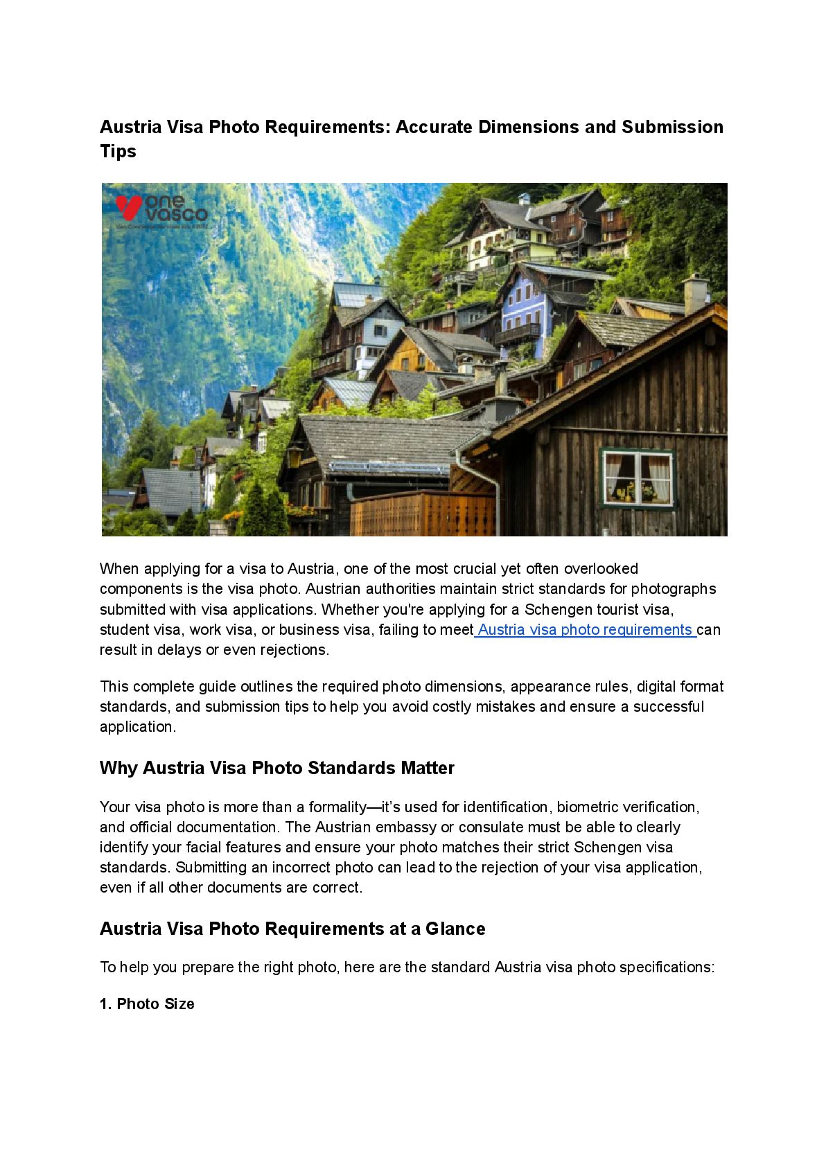 Austria Visa Photo Requirements: Accurate Dimensions and Submission Tips - Speaker Deck