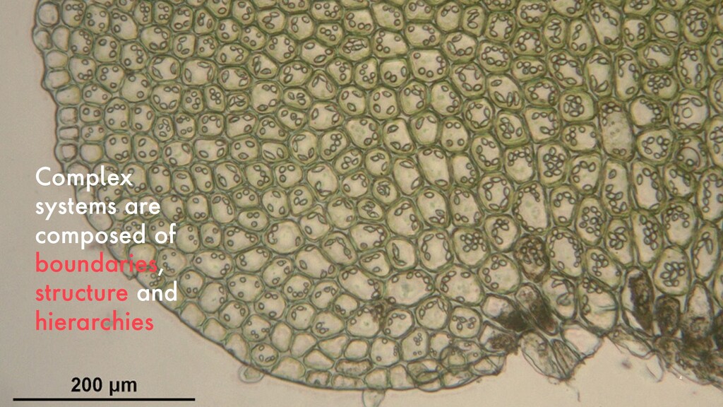Drawing the Right Lines: DDD, APIs and Microservices - Speaker Deck
