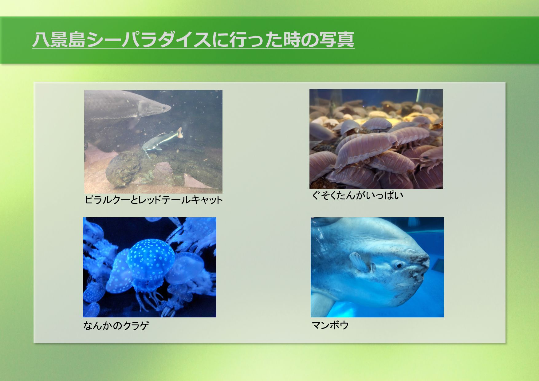 self-introduction - Speaker Deck