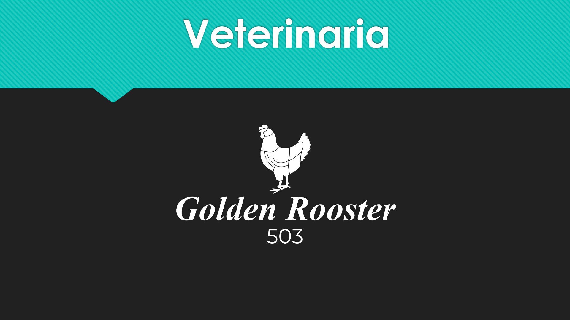 Golden Rooster 503 Speaker Deck