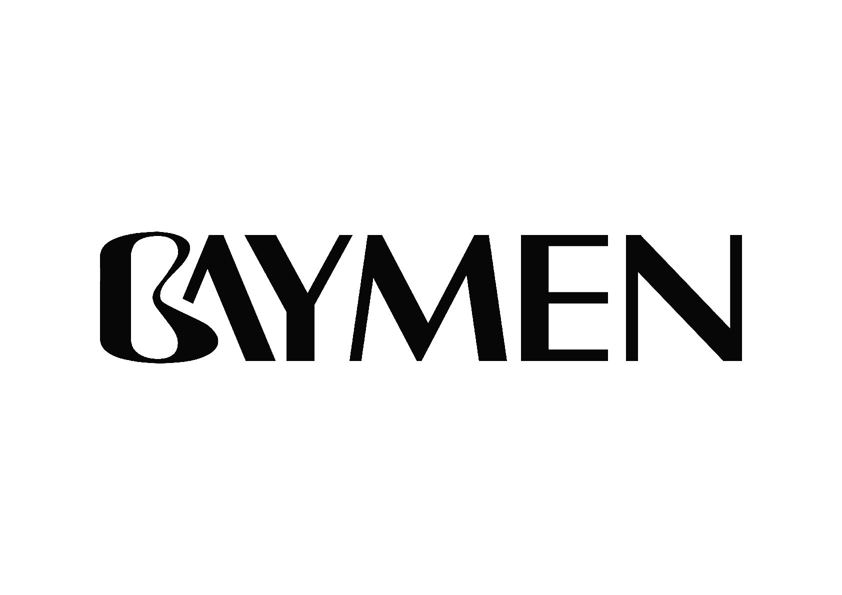 BAYMEN - Speaker Deck