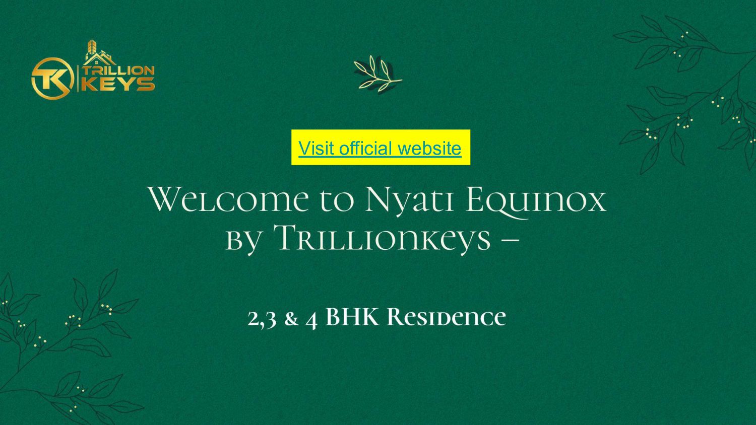 Nyati Equinox Project details - Speaker Deck