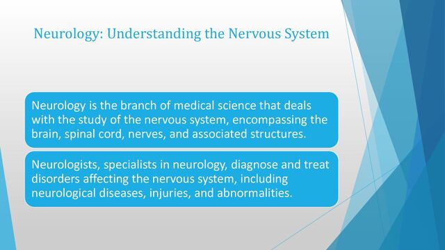 Everything To Know About Neurology, And Getting An Appointment With ...