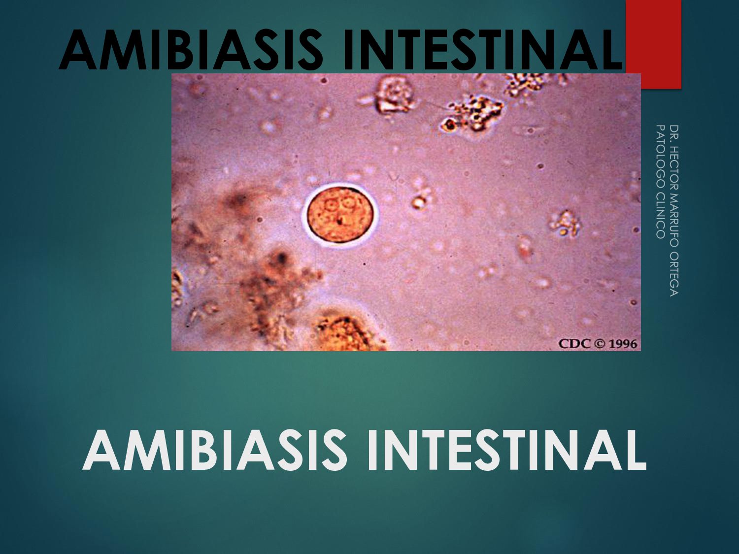 PARASITOSIS INTESTINALES_I_Y_II_.pdf - Speaker Deck