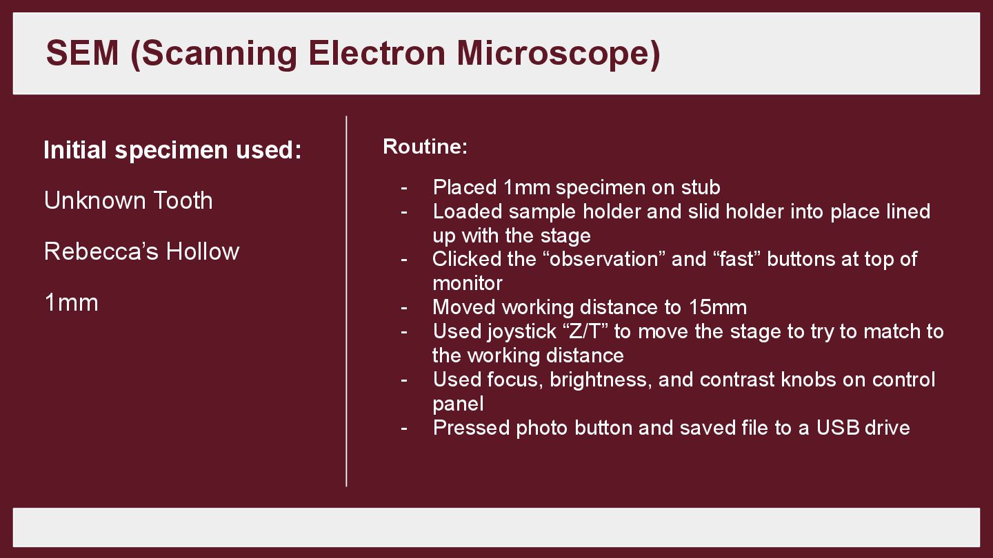 Lab Techniques Project Slideshow - Speaker Deck