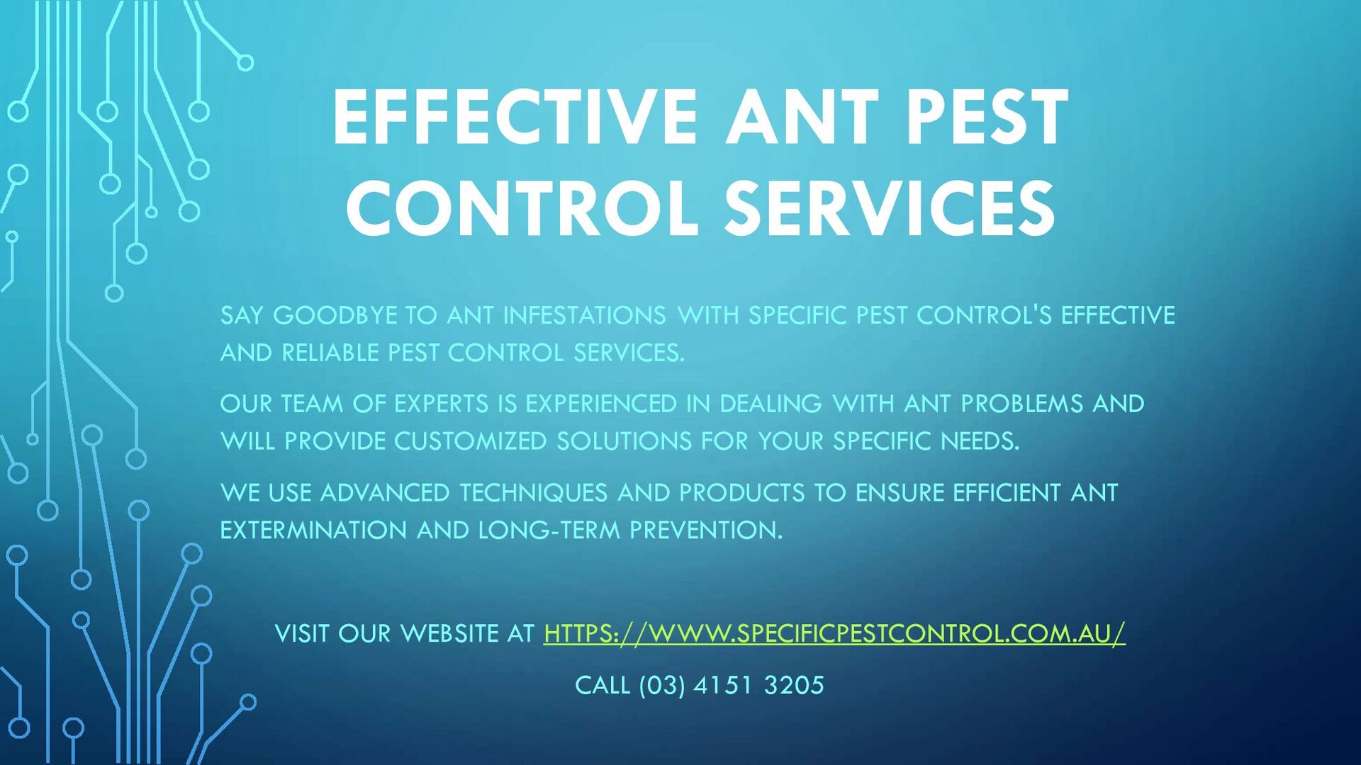 Effective Ant Pest Control Services - Speaker Deck