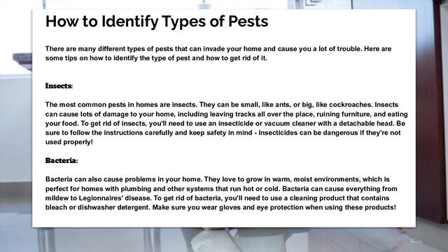 The_Ultimate_Guide_To_Getting_Rid_Of_Pests_And_Keeping_Your_Home_Clean ...