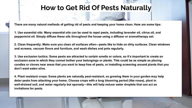 The_Ultimate_Guide_To_Getting_Rid_Of_Pests_And_Keeping_Your_Home_Clean ...