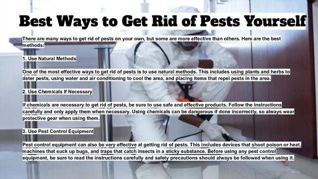 The_Ultimate_Guide_To_Getting_Rid_Of_Pests_And_Keeping_Your_Home_Clean ...