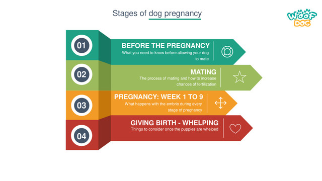 How to prepare your dogs for mating. - Speaker Deck