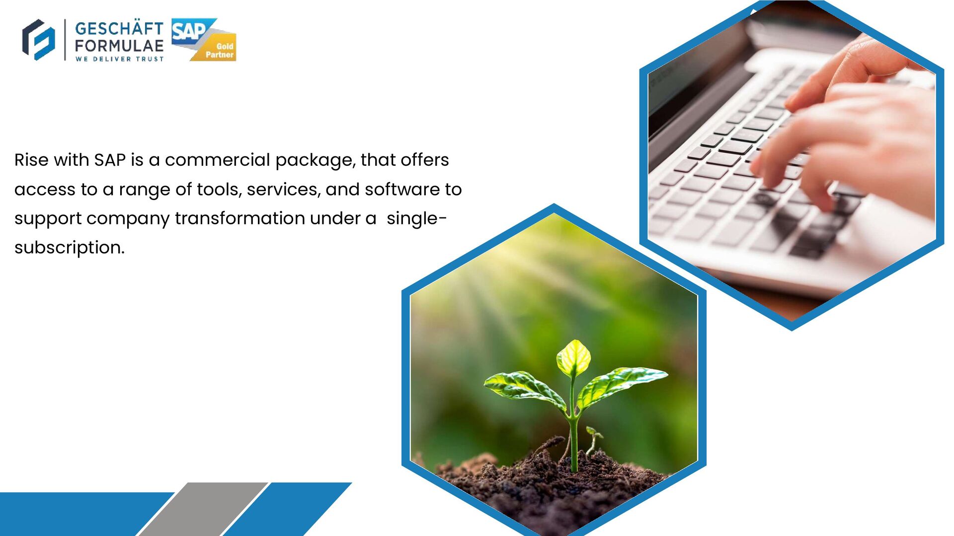 Rise with SAP-Geschaft Formulae - Speaker Deck