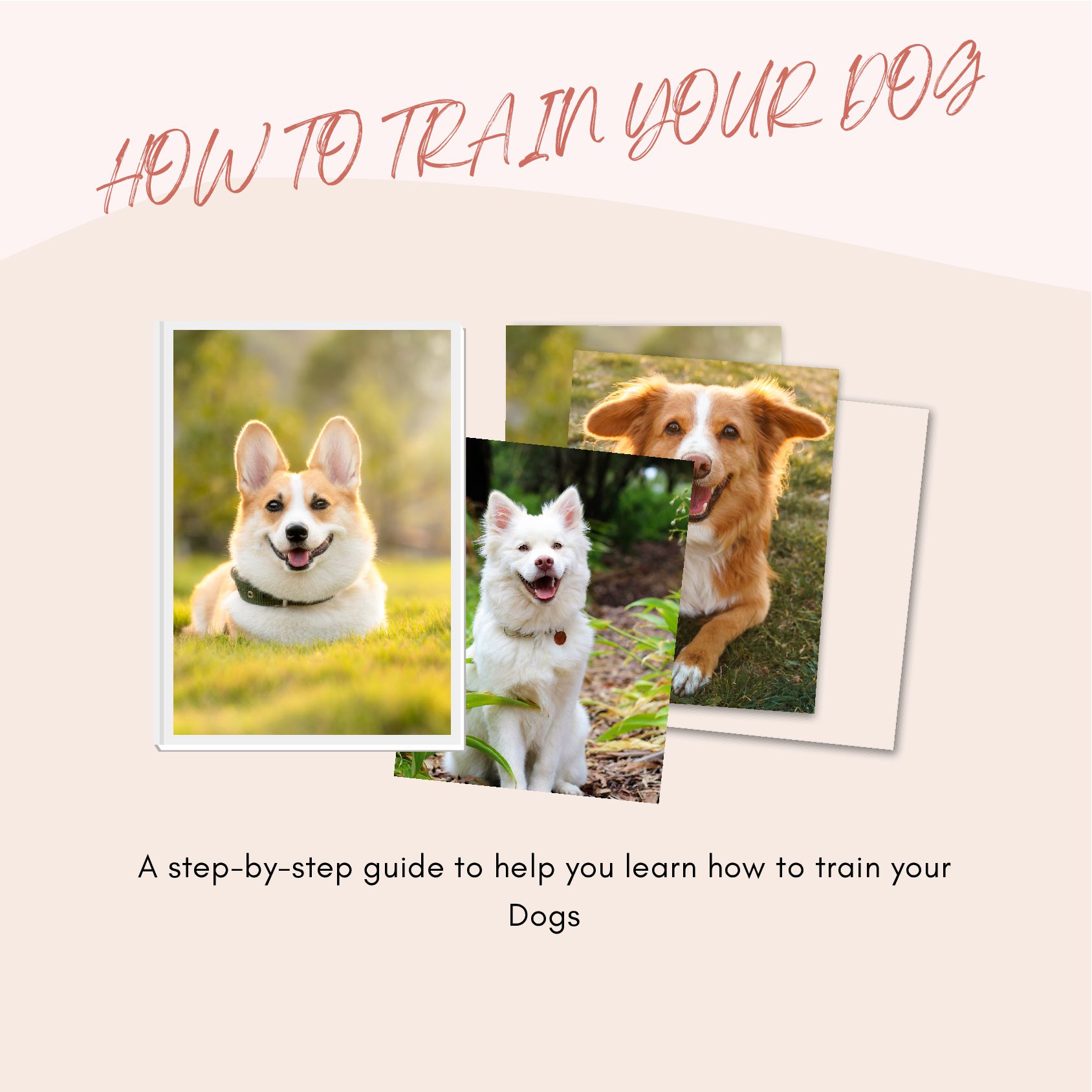 How to train your puppy - Speaker Deck