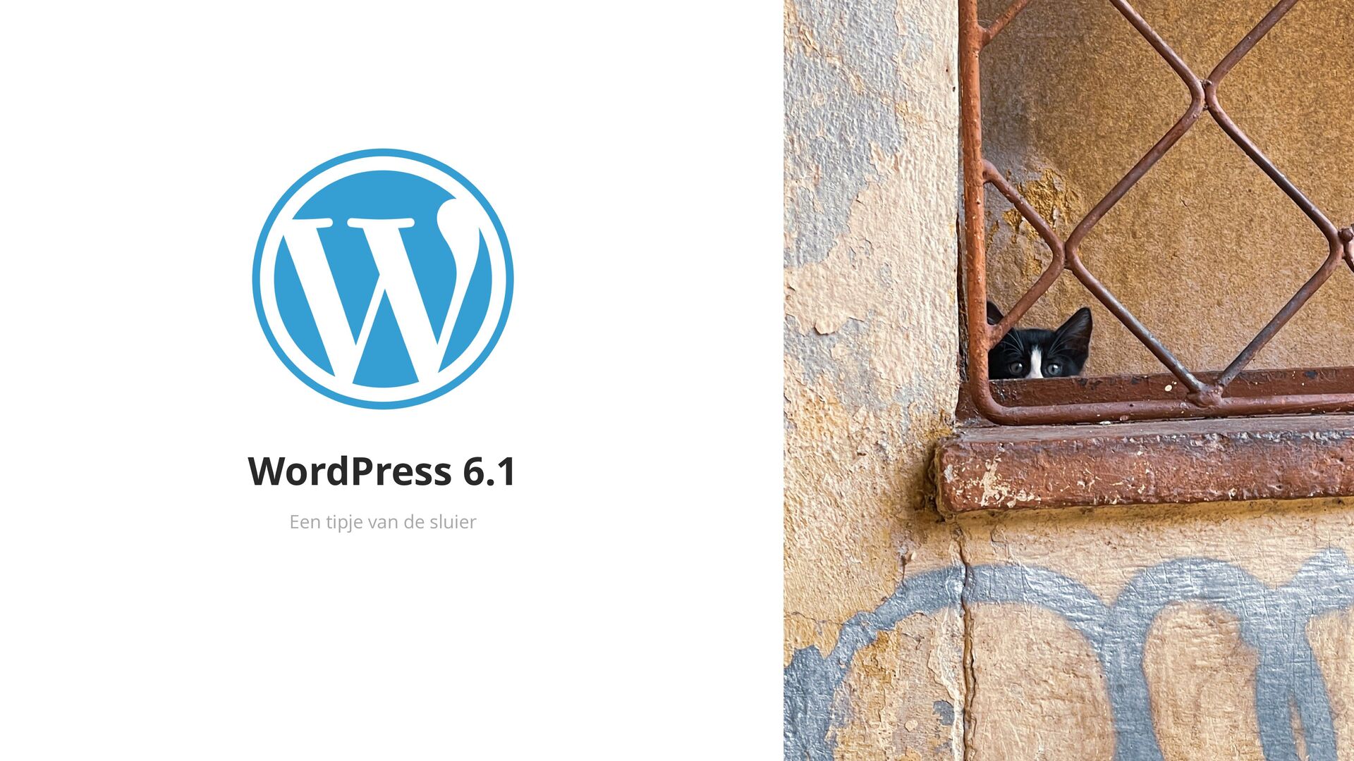 WordPress Meetup Fryslân WP6.1 - Speaker Deck